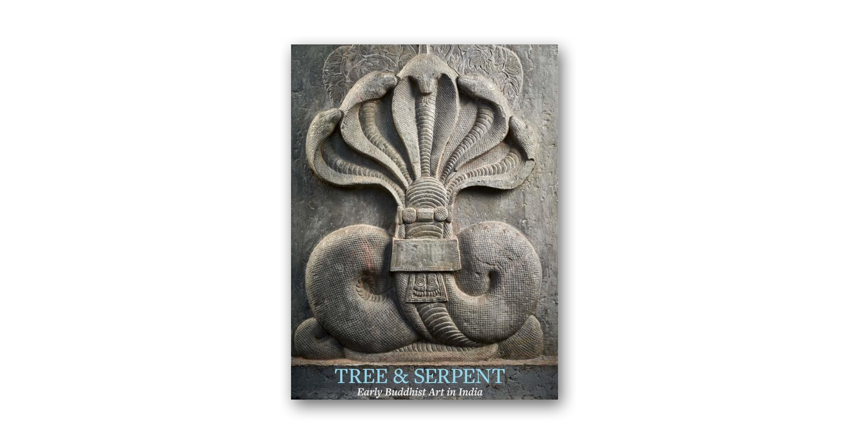 Tree and Serpent: Early Buddhist Art in India